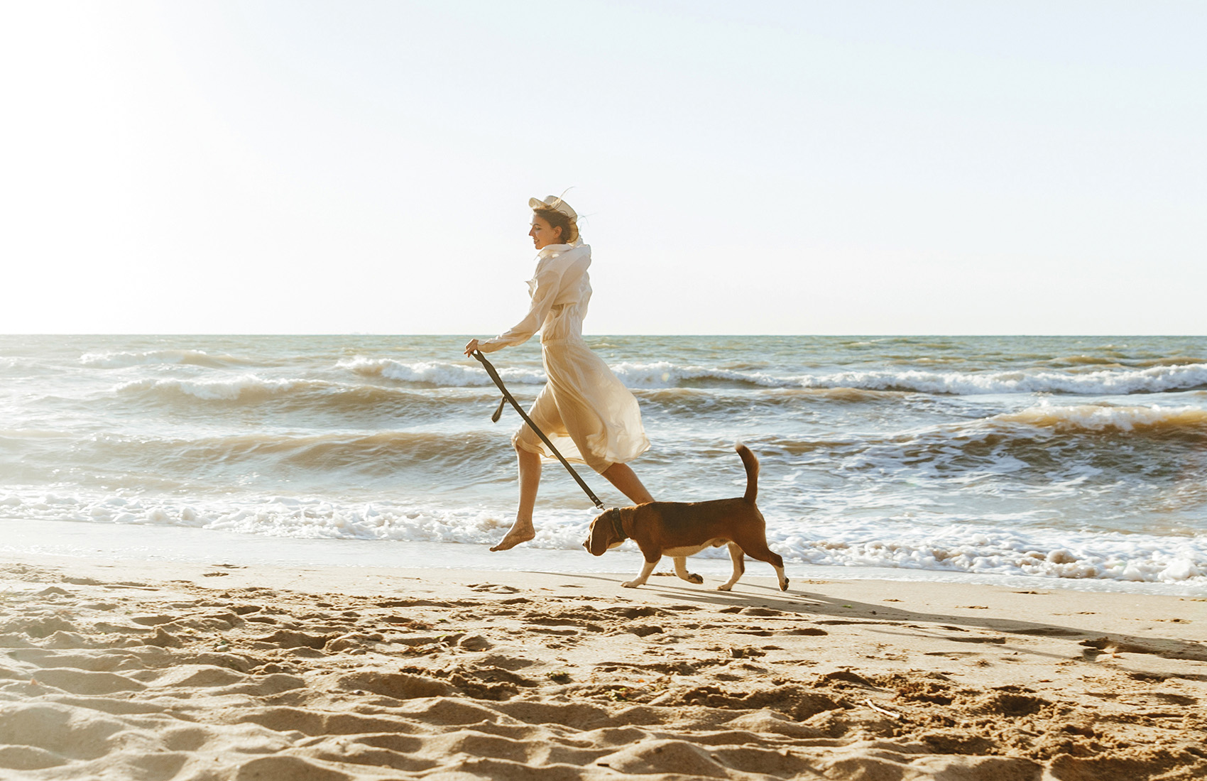 Reizklima an der Nordsee | Küstengeflüster
